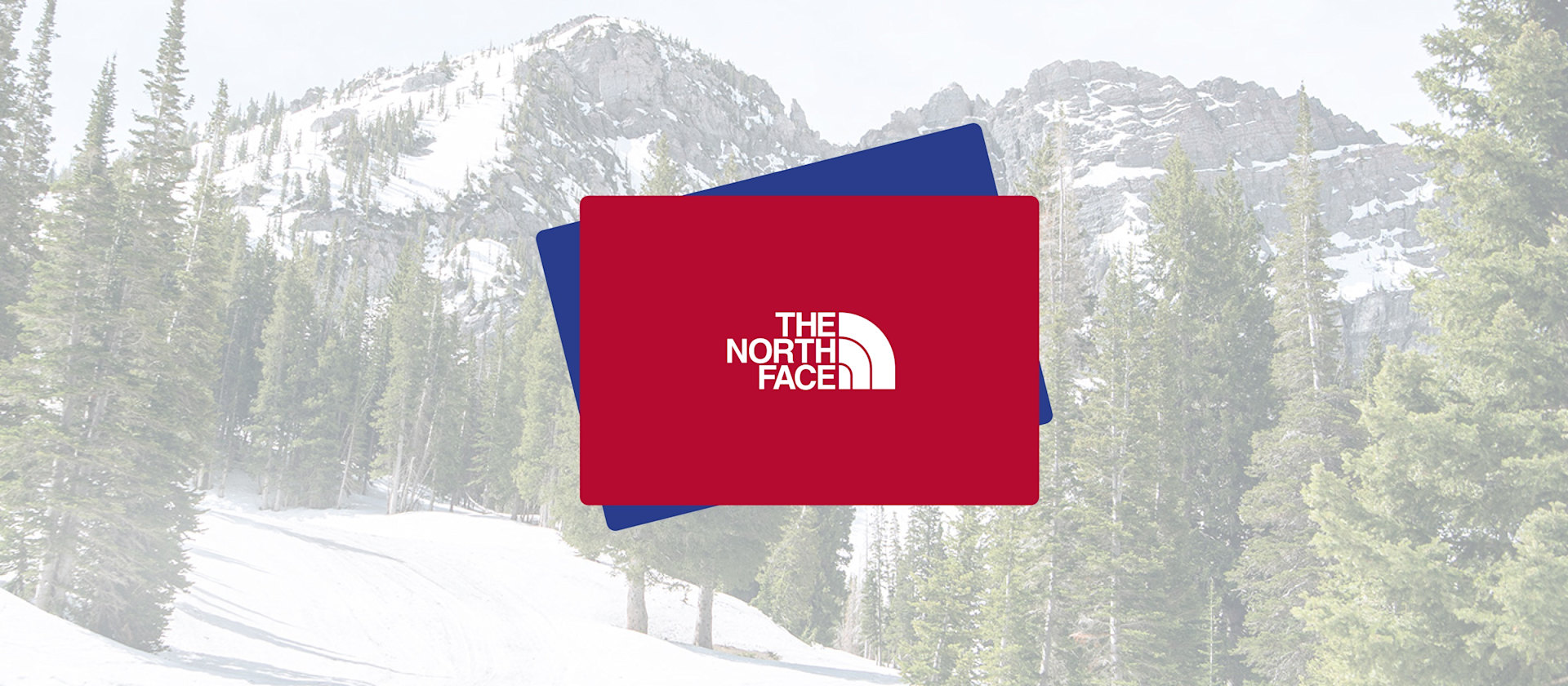 Gift Cards | The North Face