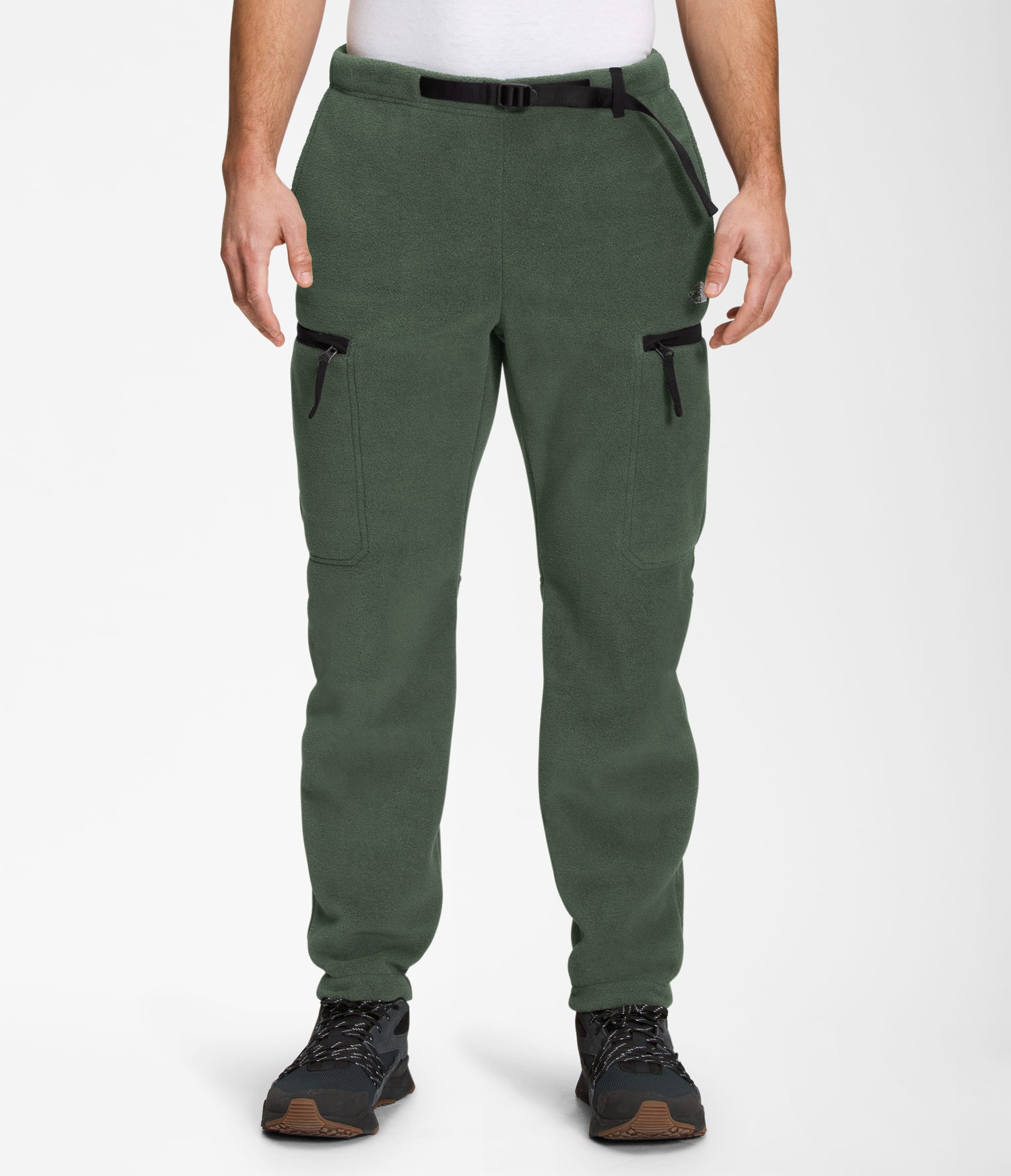 Men’s Alpine Polartec® 200 Pants | The North Face