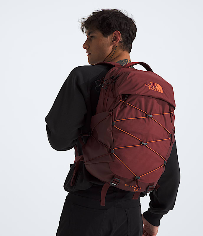 Borealis Backpack | The North Face